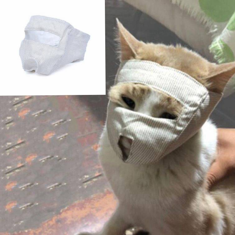 Buy Pet Bite and Lick-proof Cat Mouth Cover Adjustable Cat Face Mask ...