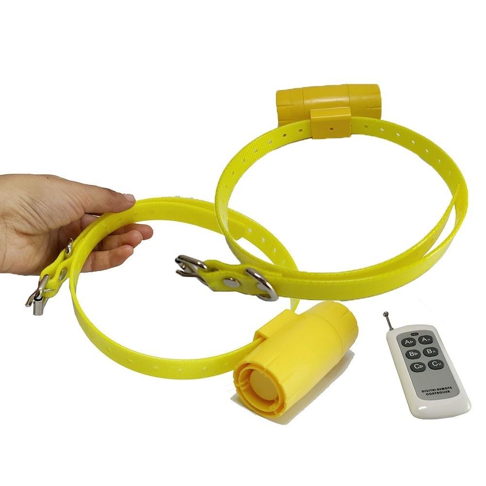 Multi-dog Training Hunting Collar Beepers Waterproof 1000M Remote ...