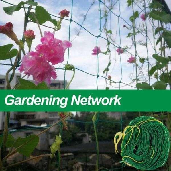 Cheap Heavy-Duty Garden Plants Climbing Net Plastic & Nylon Net Morning ...