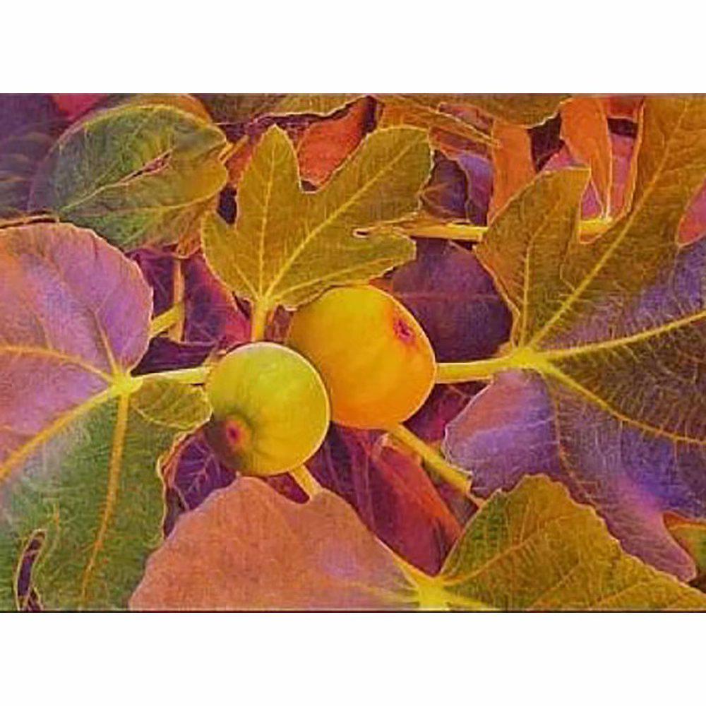 Full paste square round diamond cross stitch Painted fig tree ...