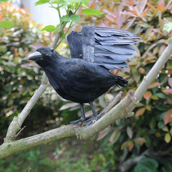 Buy Ximuded Realistic Feathered Crows Raven Model Halloween Prop Home ...