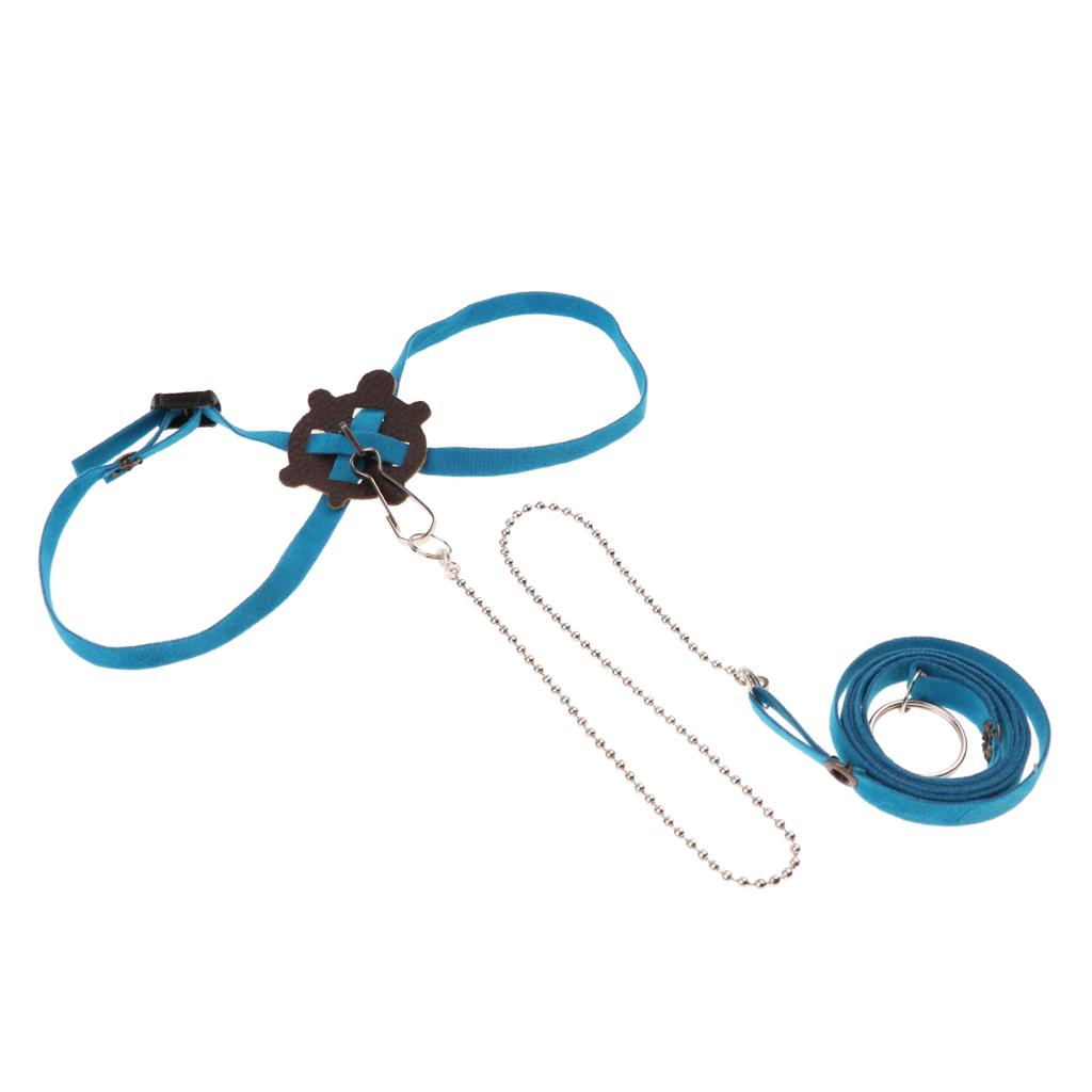 Buy Adjustable Pet Turtle Harness Leash Lead for Small Animal Outdoor ...