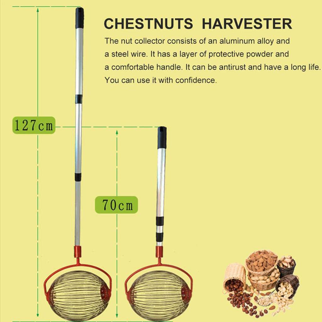 Buy Roller Nut Collector Retractable Walnuts Chestnuts Harvester Pecan ...