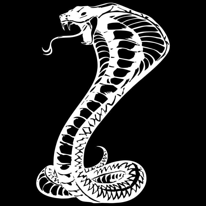 Buy 15.2*22.8CM Snake Reptile Vinyl Car Stickers Motorcycle Decals Car ...