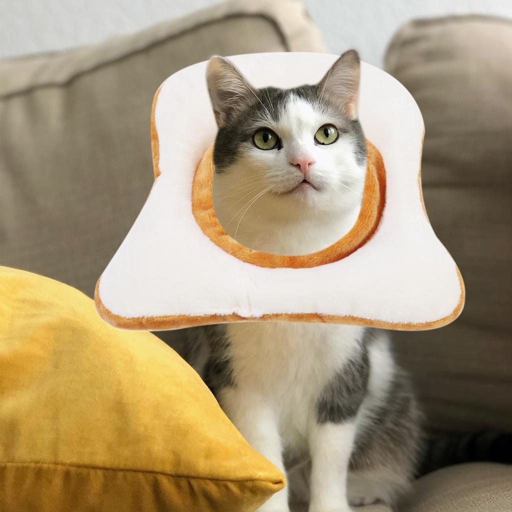 Buy Adjustable Avocado Cute Neck Cone Elizabeth Collar Cat Collar ...