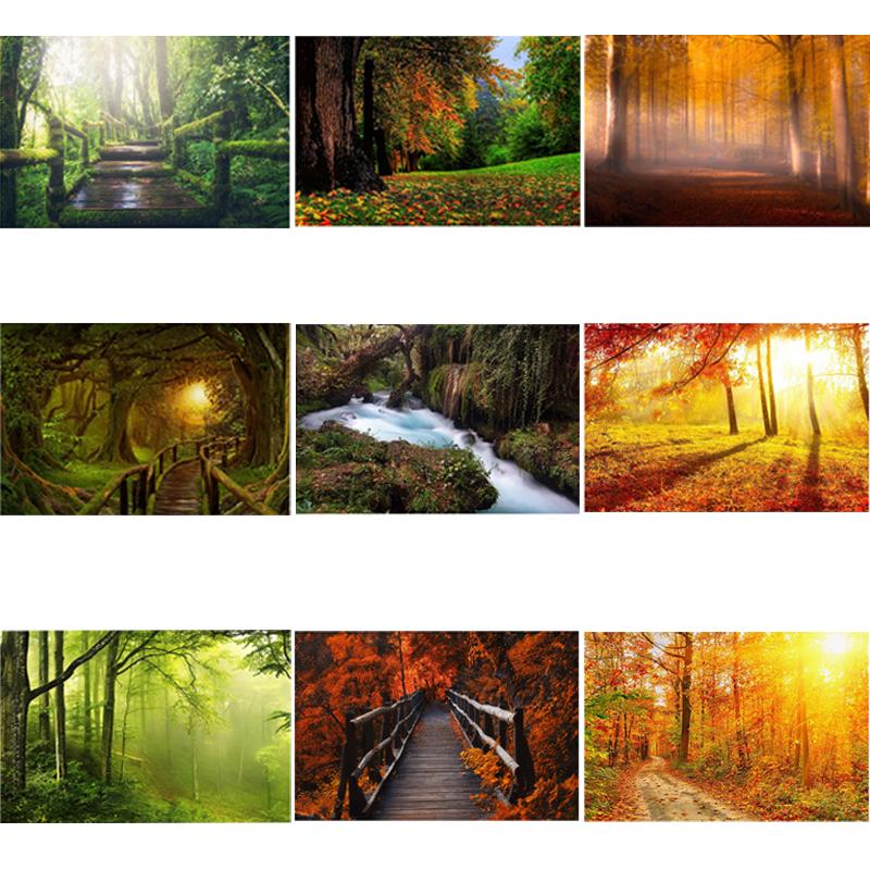 WCIC Yeni Orman Serisi Tema Arka Plan Kumaş Duvar Ahşap Zemin ...