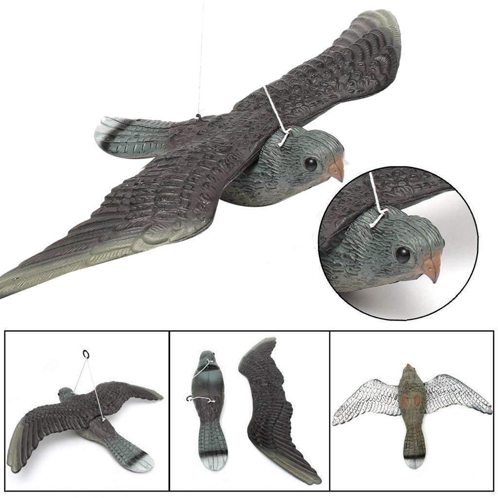 Buy Flying Hawk Decoy Bird Deterrent Lifelike and Realistic with ...