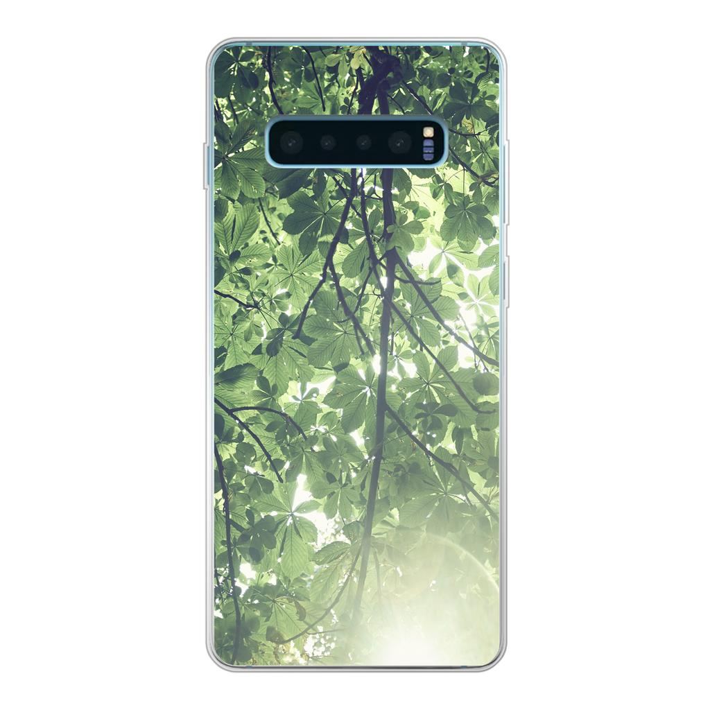 Buy Samsung Galaxy S10 Lite Soft Case - Branches in the sunlight at ...