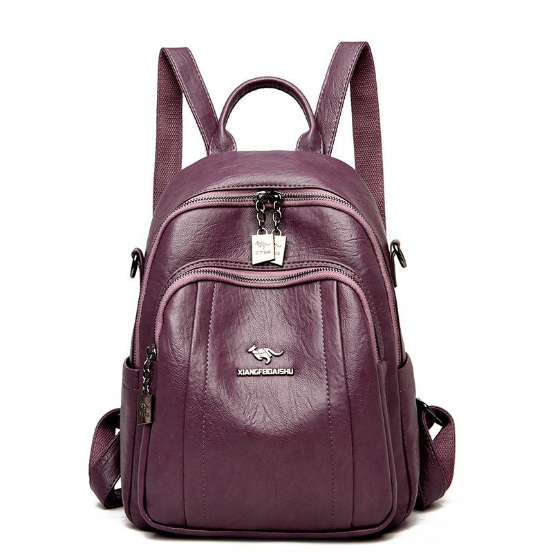 Buy Women's Backpack Spring and Summer New Multi-function Shoulder Bag ...