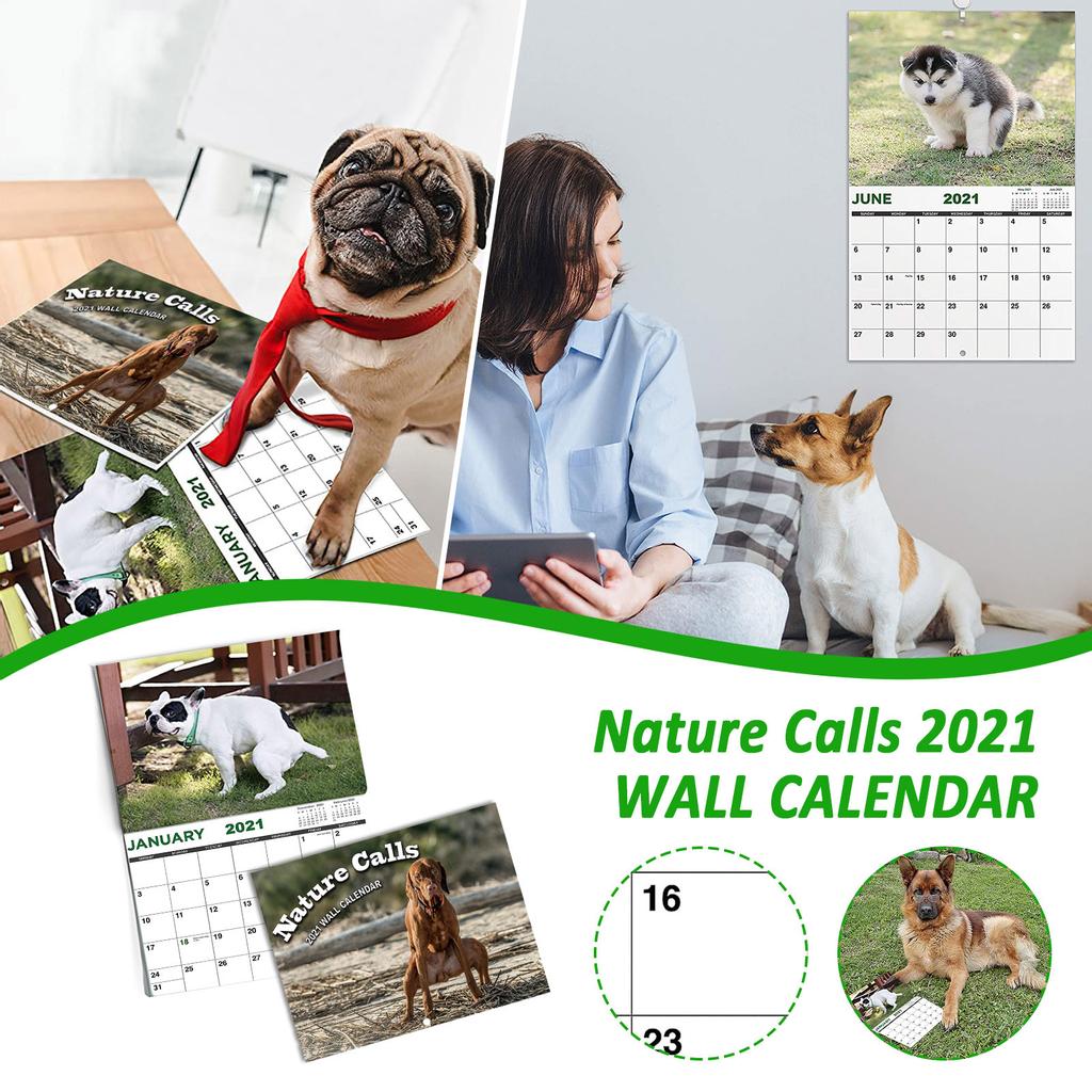 Buy 2021 Dogs Pooping Calendar Gift Wall Calendar 12-Month Schedule ...