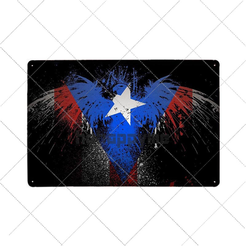 Buy Amerikanska Confederate States Metal Plaque USA CSA Sign Battle ...