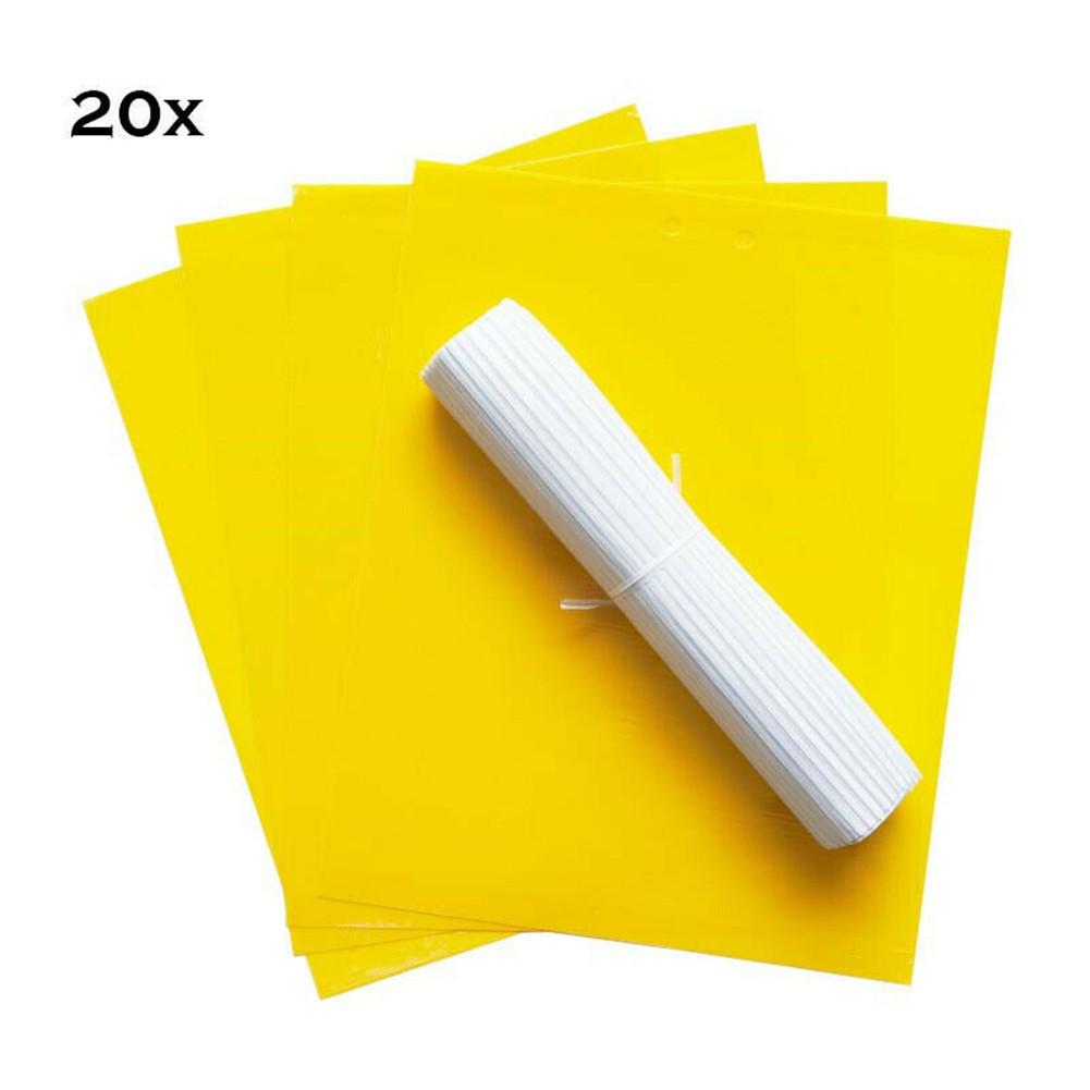 Insect Sticky Boards PVC Props Set Stickersfruit 20pcs uygun fiyatlı ...