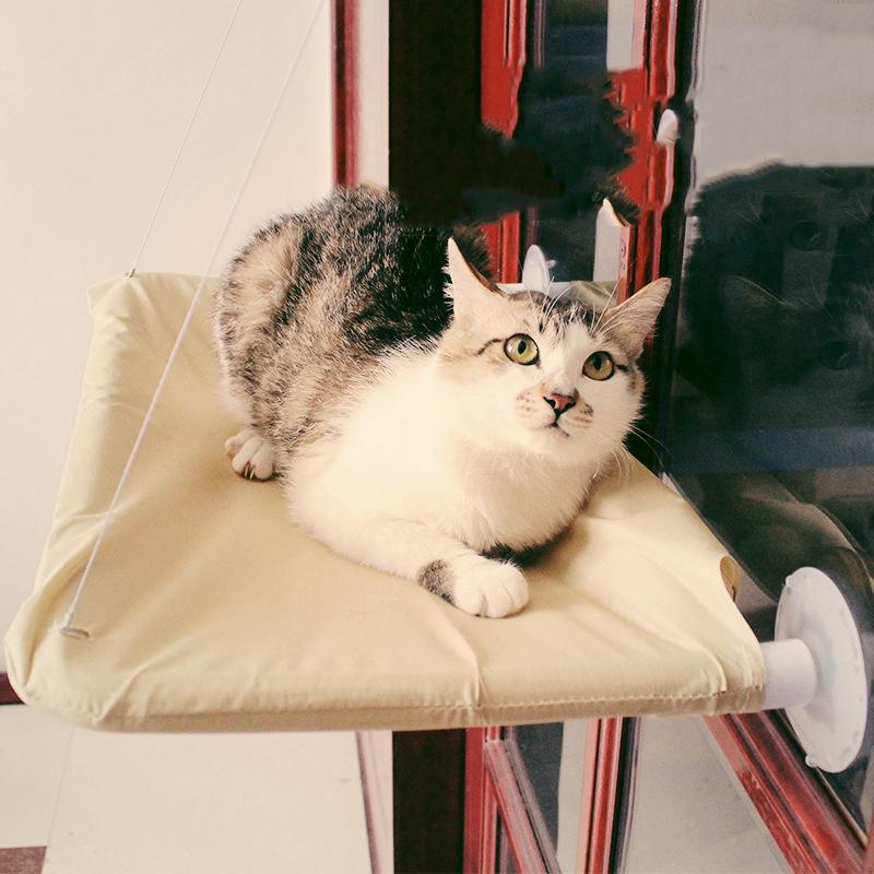 Buy WTEMPO New Arrival Cat Sport Window Mat Putted On Everywhere Cute ...