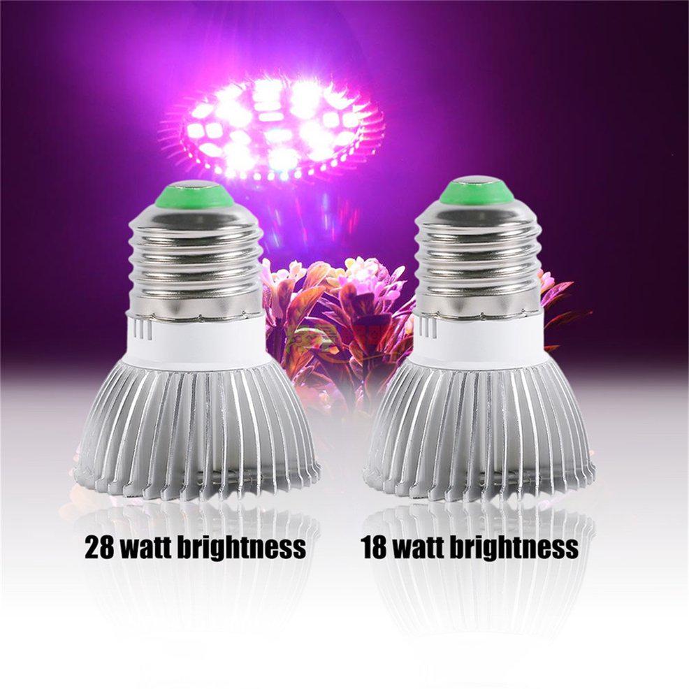 Buy LUCKY Full Spectrum E27 LED Grow Light Growing Lamp Light Bulb For ...