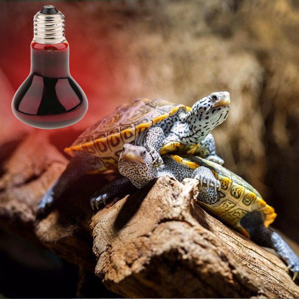 Buy Reptile Tortoise Amphibian Nightlight Infrared Light E27 Base Heat ...