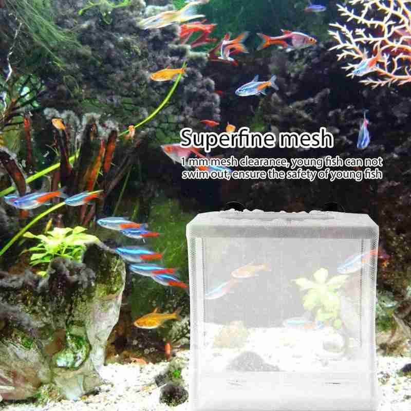 Buy Large Aquarium Fish Tank Guppy Breeding Breeder Baby Fry Net ...