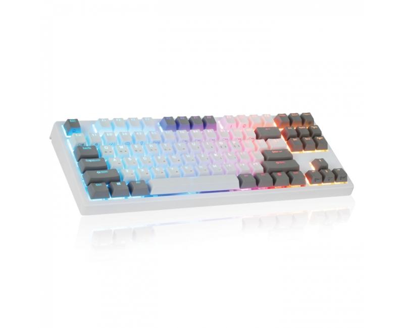 Buy Cox Endeavor Tenkeyless RGB PBT Waterproof Solid State Keyboard, White Body at affordable ...