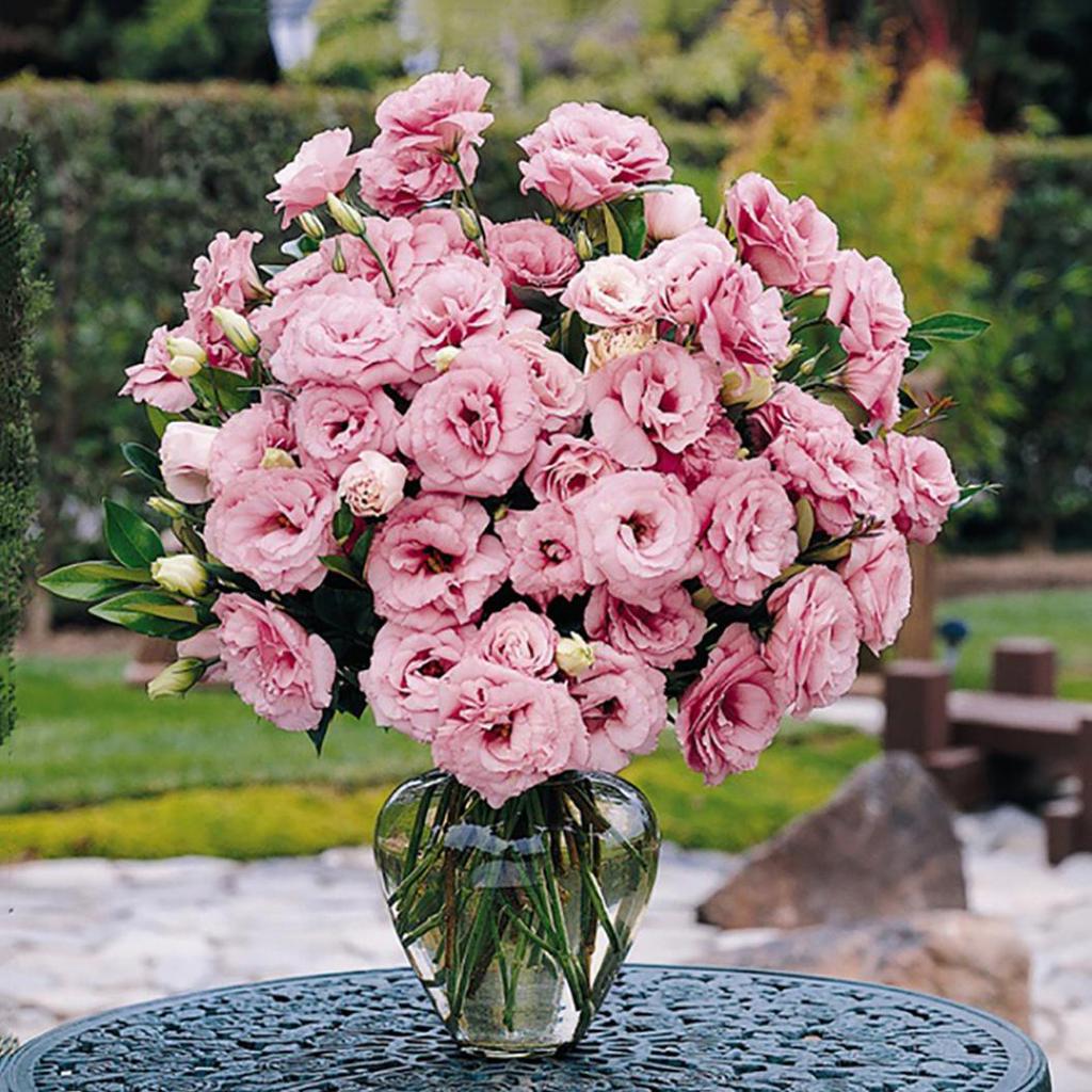 Buy 50Pcs Garden Balcony Potted Eustoma Flower Seed at affordable ...