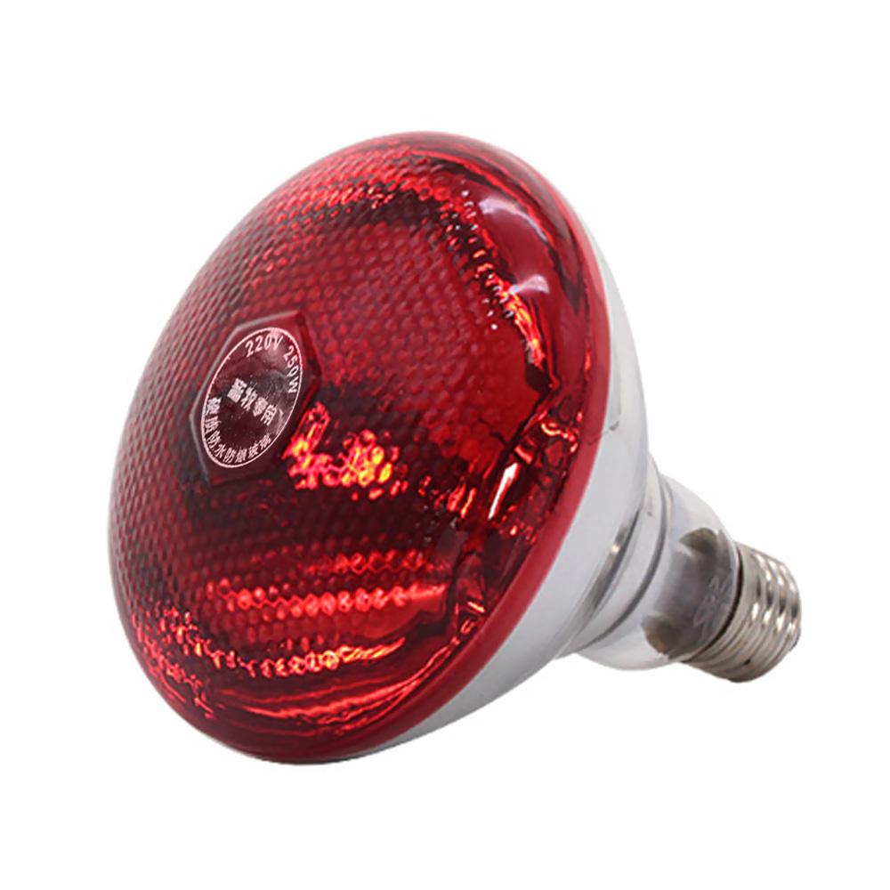 Coop Heaters 175W Pig Piglet Thick Heat Lamp Incubation Lamps Poultry ...