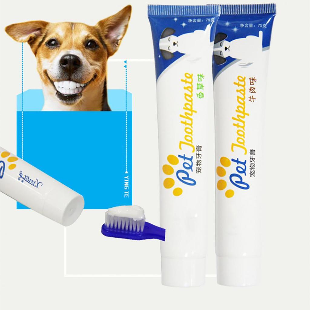 Buy Edible Dog Puppy Cat Toothpaste Teeth Cleaning Care Oral Hygiene ...
