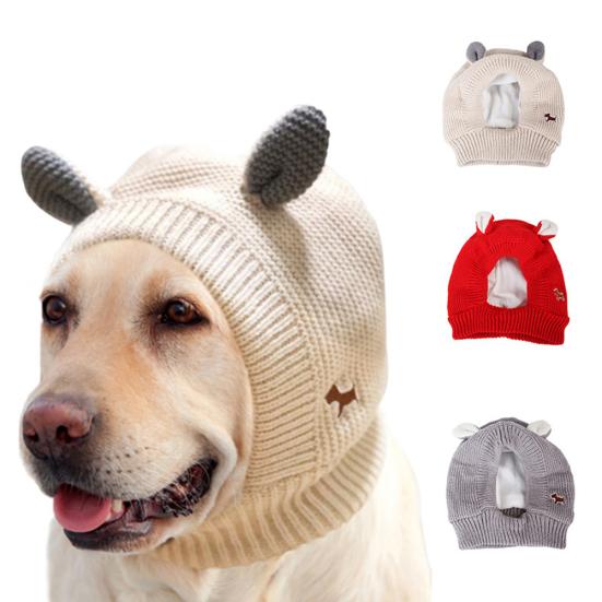 Buy DYS Knitted Hat Winter Warm Puppy Cap Fashion Rabbit Ear Design ...