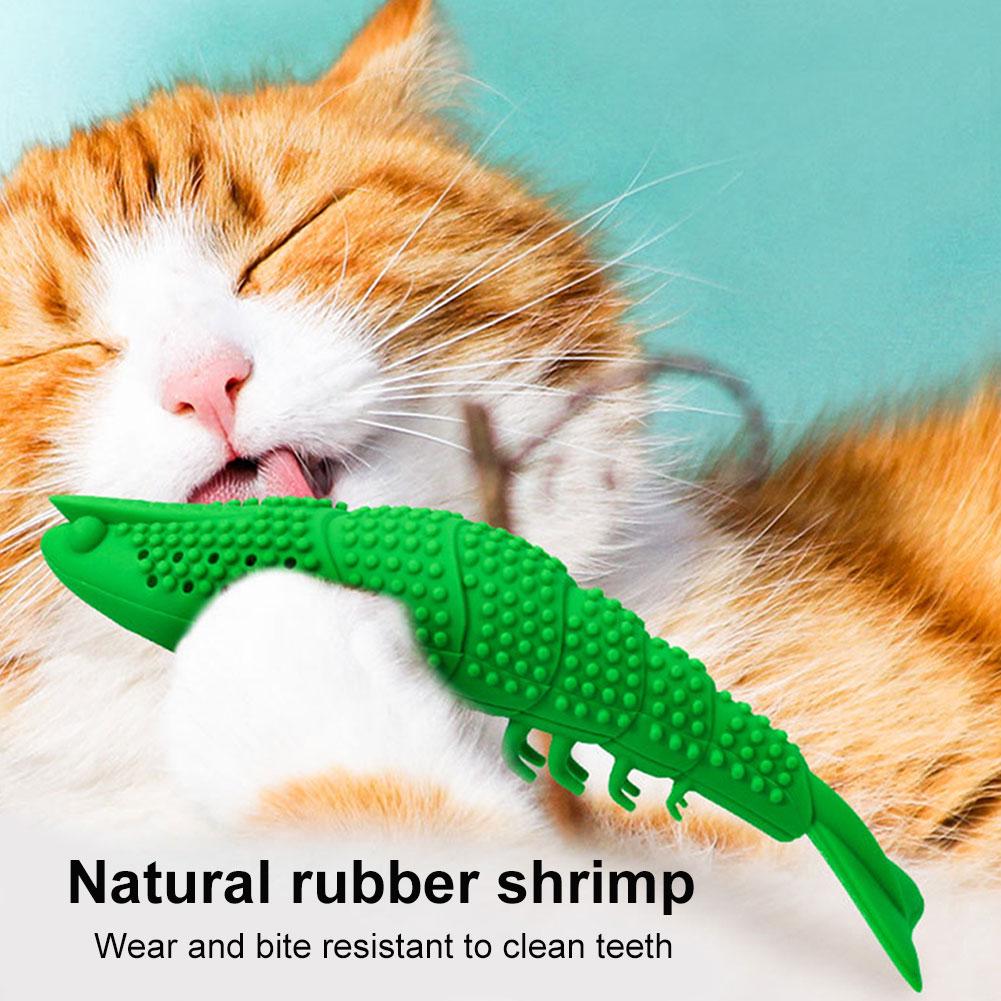 Buy Pet cloakroom Silicone Catnip Dental Pet Cats Teeth Toothbrush Care ...