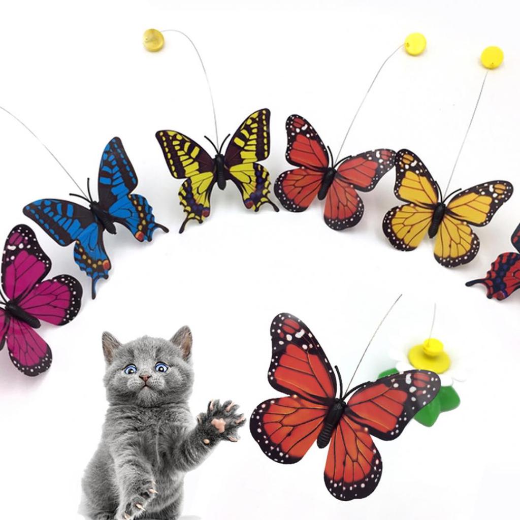 Buy Colorful Butterfly Flying Rotatable Cat Battery Powered Interactive ...