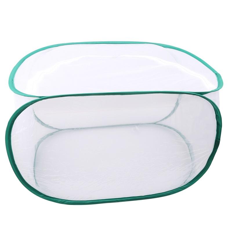 Buy 40x40x60cm Praying Mantis Leaf Butterfly Chameleon Pop Up Stick Net ...
