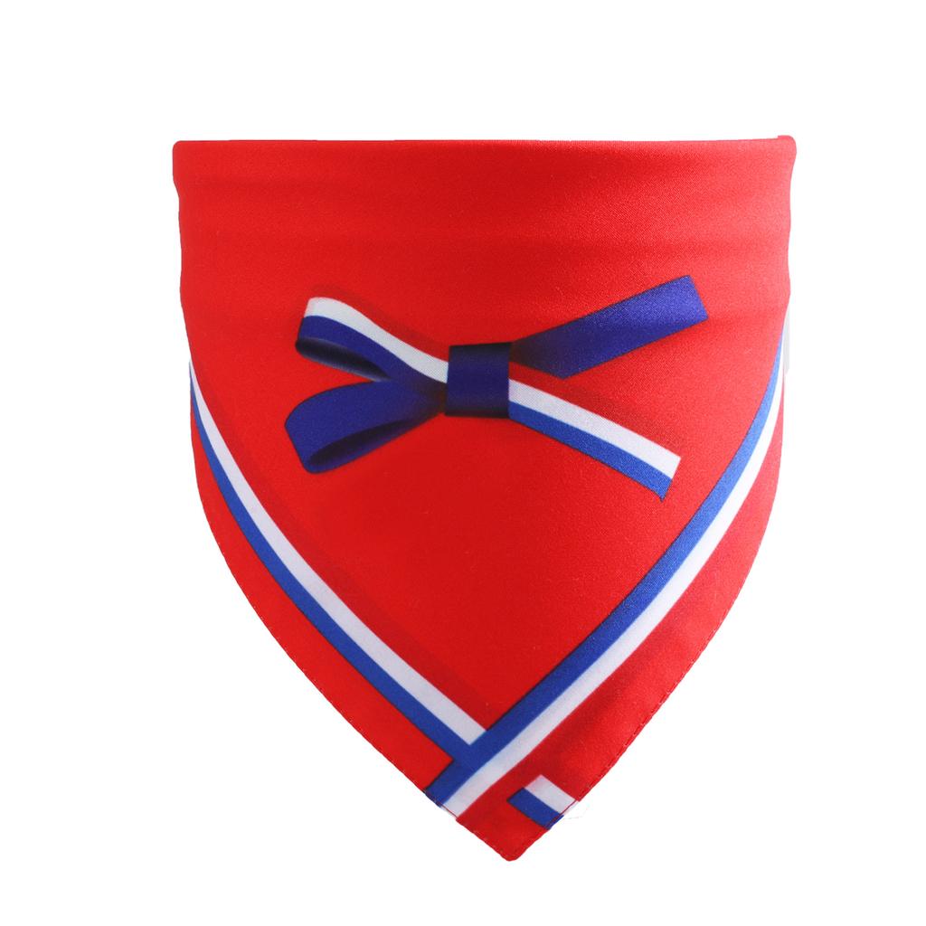 Buy Pet Triangle Scarf American Flag Scarf Cat and Dog Scarf Pet Saliva ...