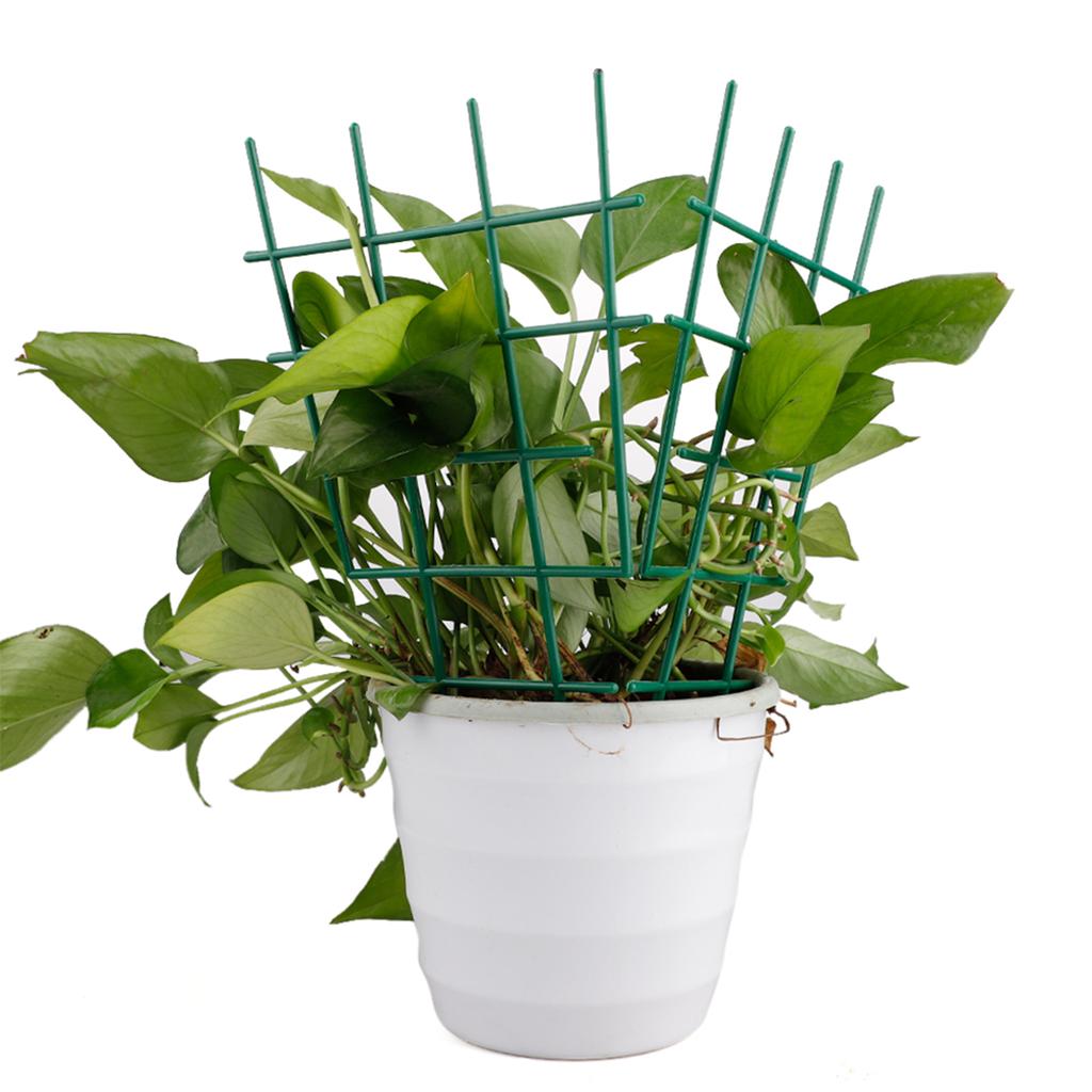 Buy Plant Support Garden Trellises T-shaped Rack Cucumber Plastic ...