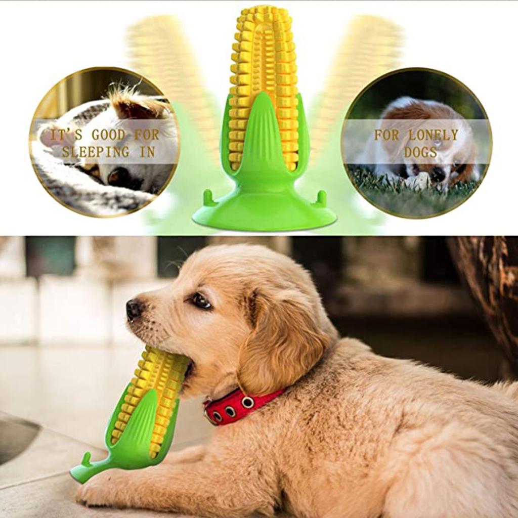 Buy NNEE Dog Chew Toys Tough Dental Chews Teeth Cleaning Dog Toothbrush ...