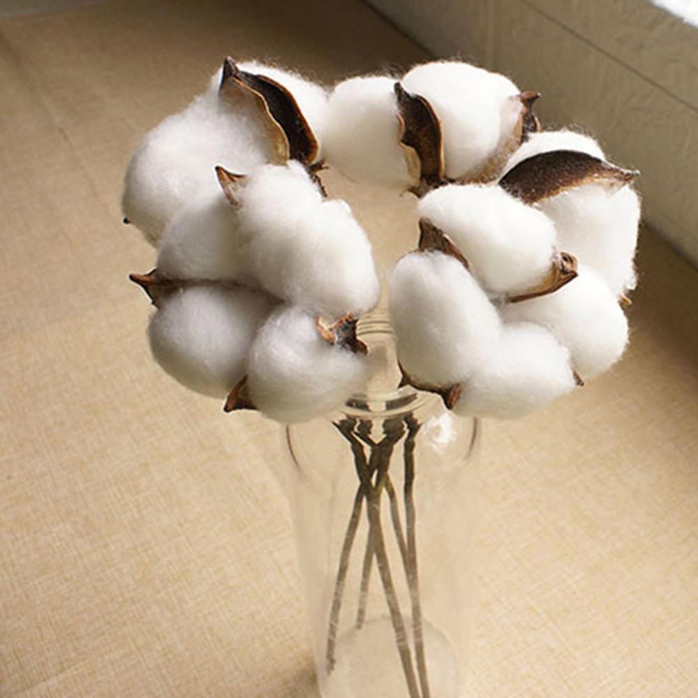 Buy 10Pcs Natural Dried Cotton Artificial Plants Flowers Branch For ...