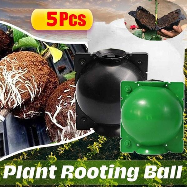 Buy 5PCS Plant Rooting Equipment High Pressure Propagation Ball Garden ...
