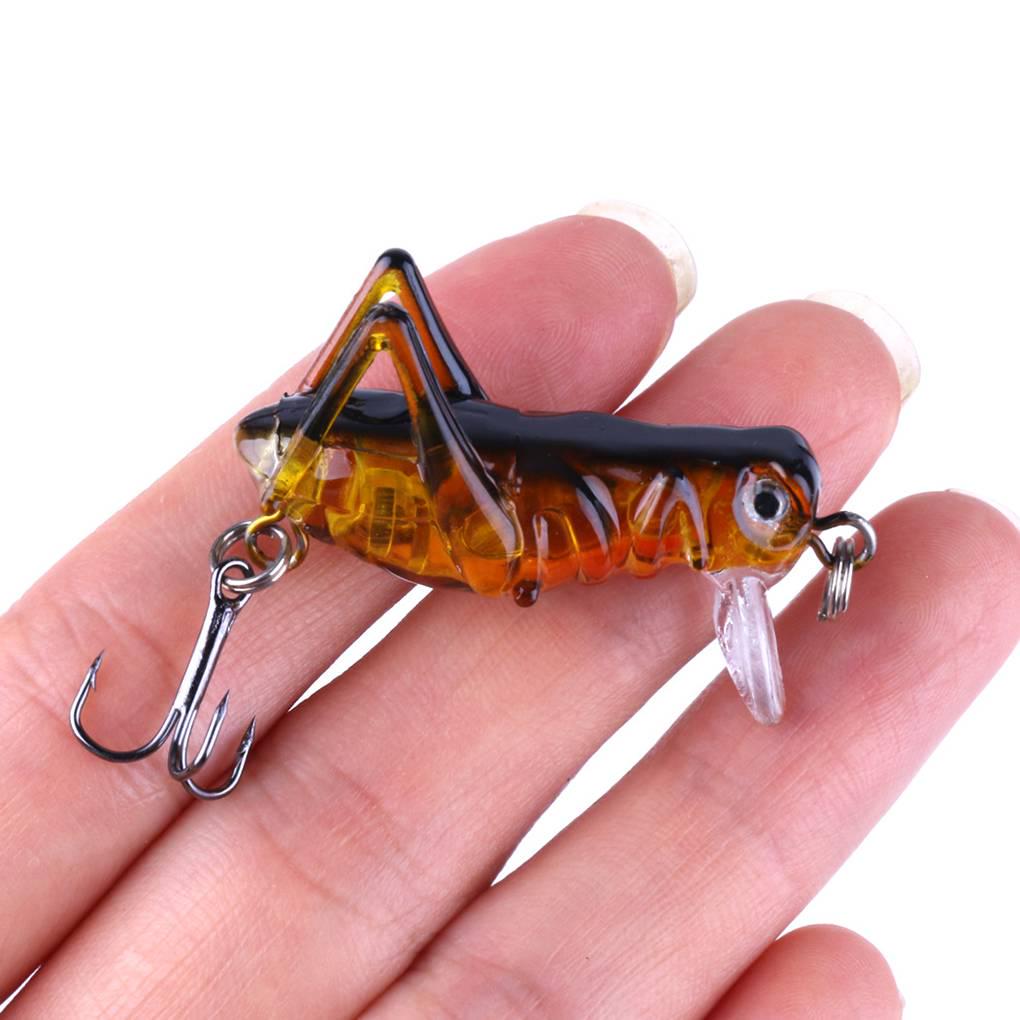 Buy 3.5cm/3g Colorful Vivid Cricket Shape Fishing Lure Locust ...