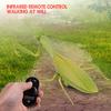 Buy Infrared Remote Control Realistic Mini Mantis RC Prank Insect Scary ...