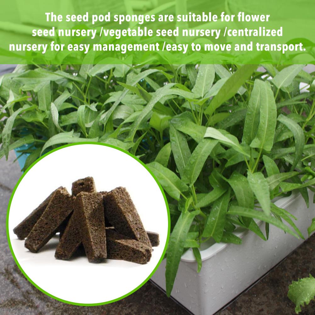 Buy Seed Pod Sponges Seed Starter Sponge Pods Replacements Root Growth ...