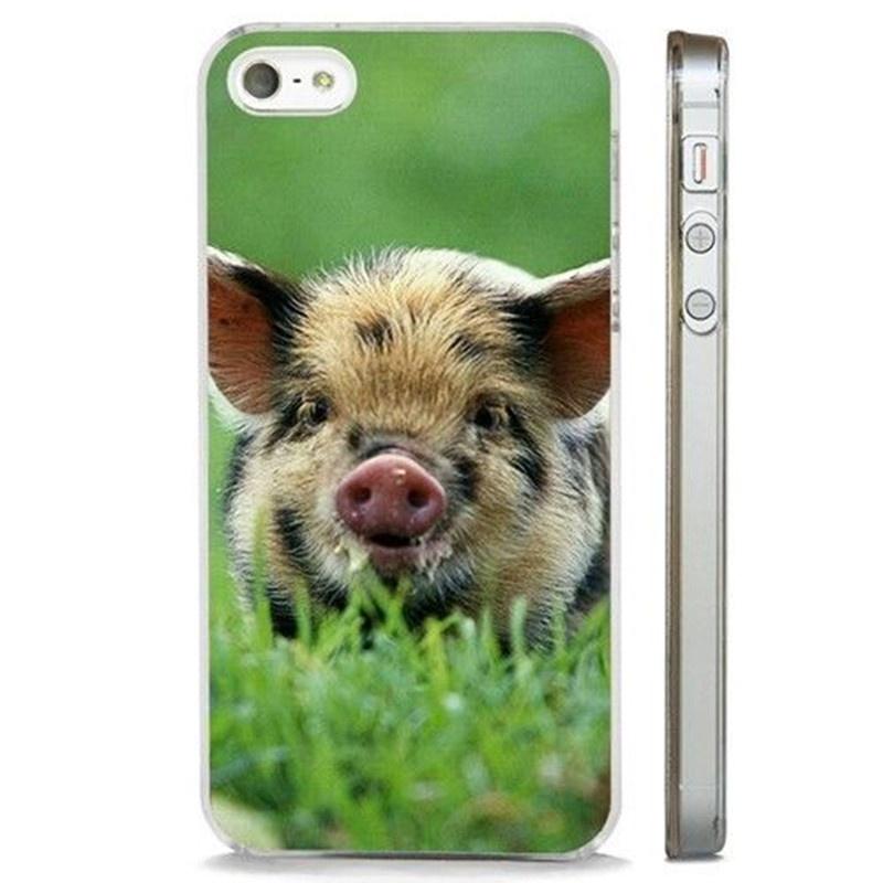 Buy Piglet Pig Minature Cute Clear Phone Case Cover Fits Iphone 4 5 6 ...