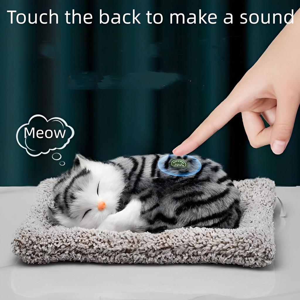 Lebensechte Katze Mit Funktion