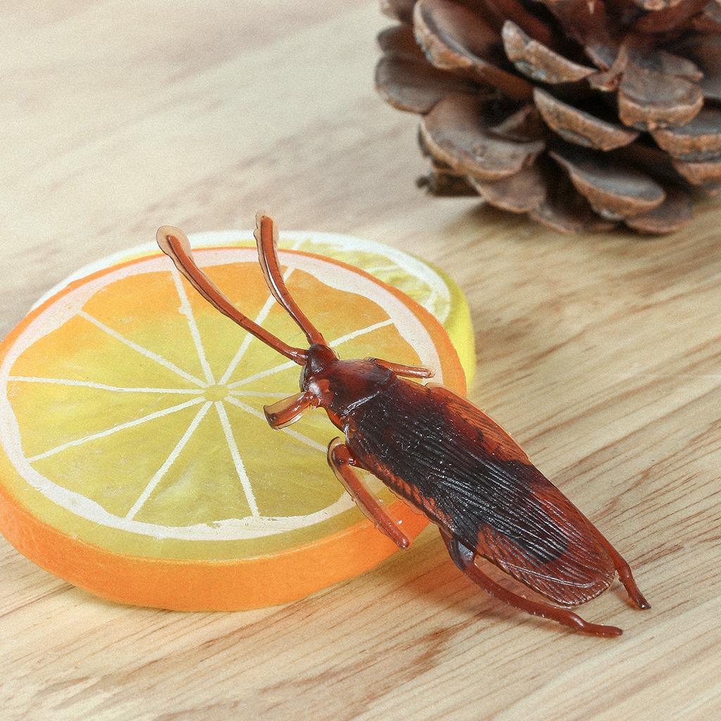 Buy Soft Rubber Cockroach Toy April Fool's Day Halloween Spoof Toy ...