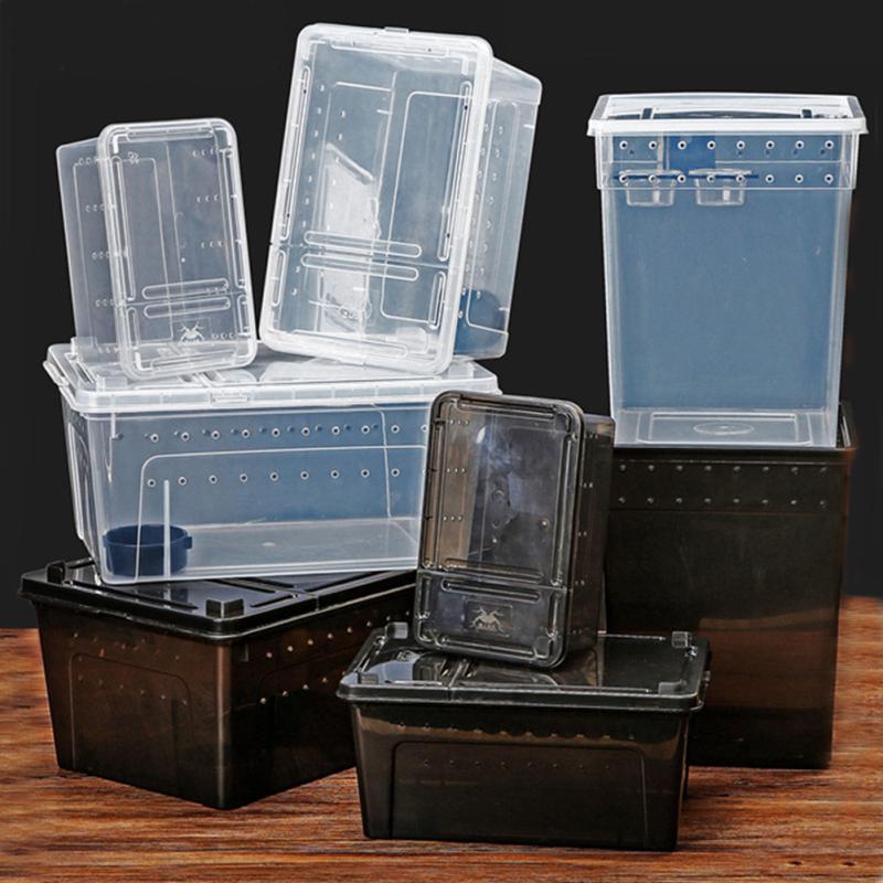 Buy Reptilian Feeding Box Escape-proof Transparent Spider Horn Frog ...