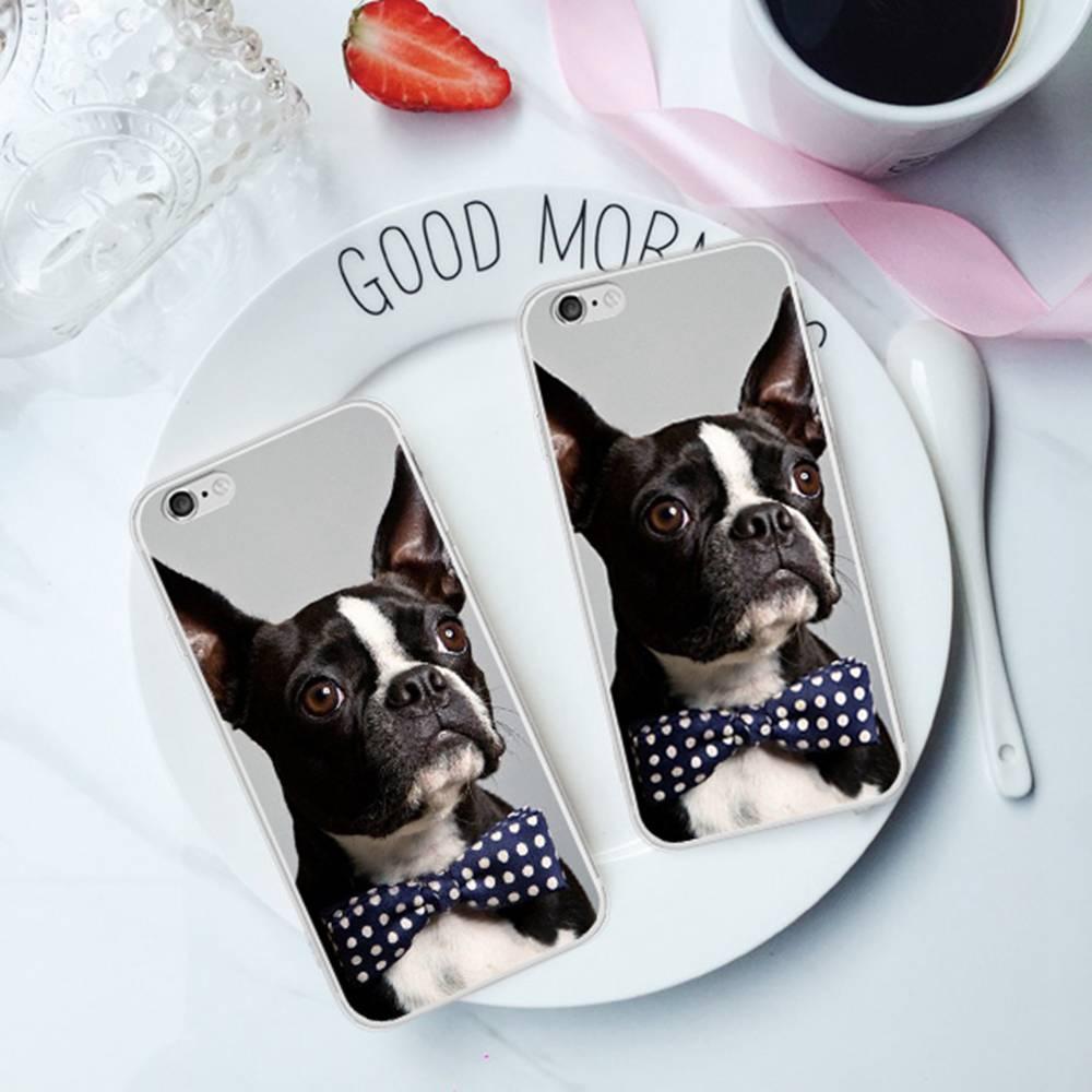 Buy Bow Tie Pugs Dog Printed Soft Phone Case for iPhone 5s/6S/6 Plus ...