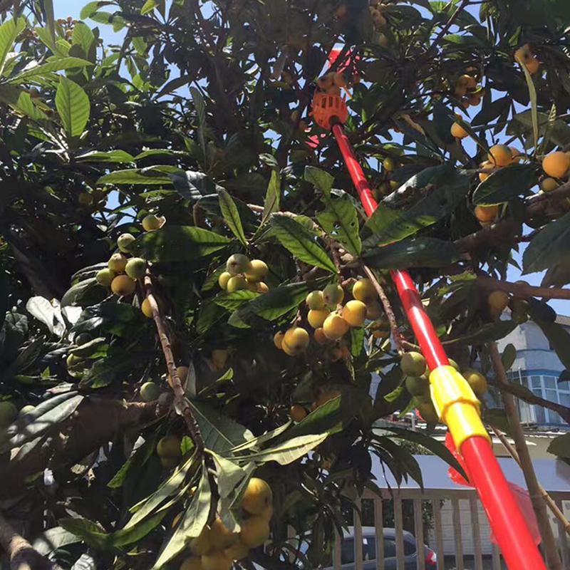 Buy Practical Fruit Picker Gardening Collection Picking Head Catcher ...