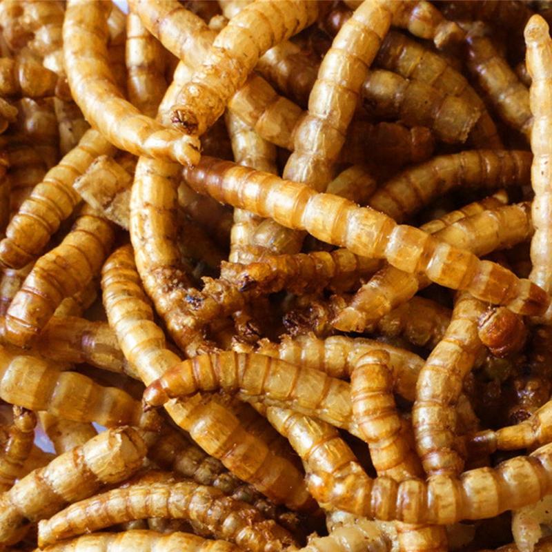 Buy Brazilian Tortoise Turtle Food Feed Sticks Granules Dried Fish ...