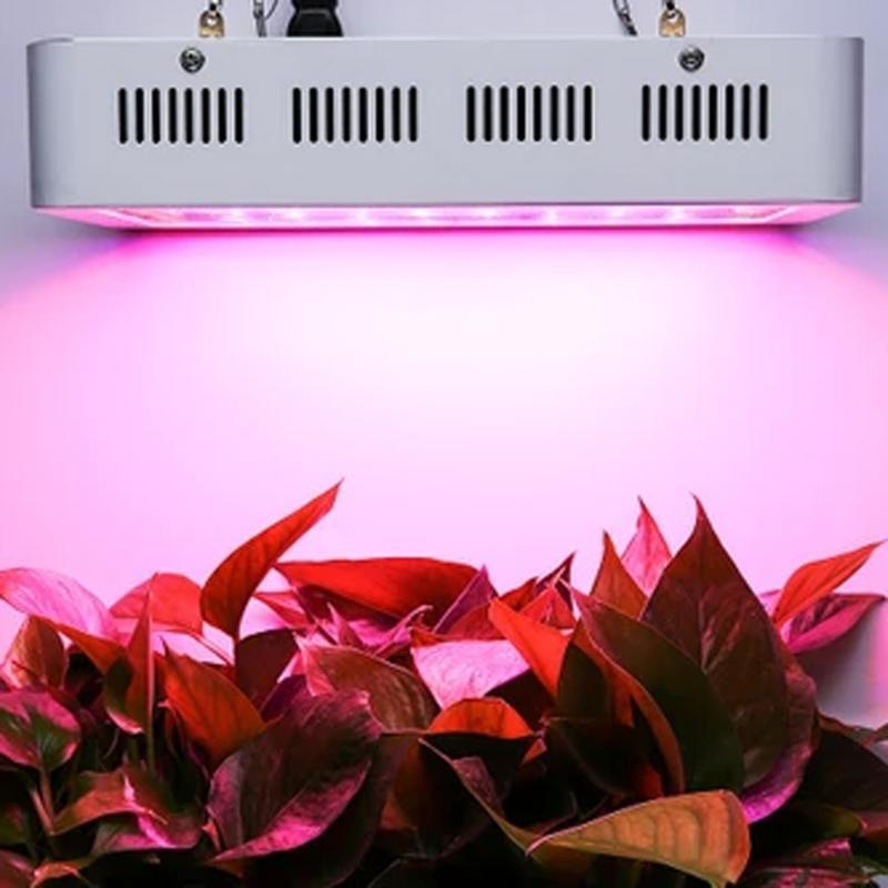 Cheap 60 LED 600W Double Chip Grow Light Full Spectrum For Garden ...