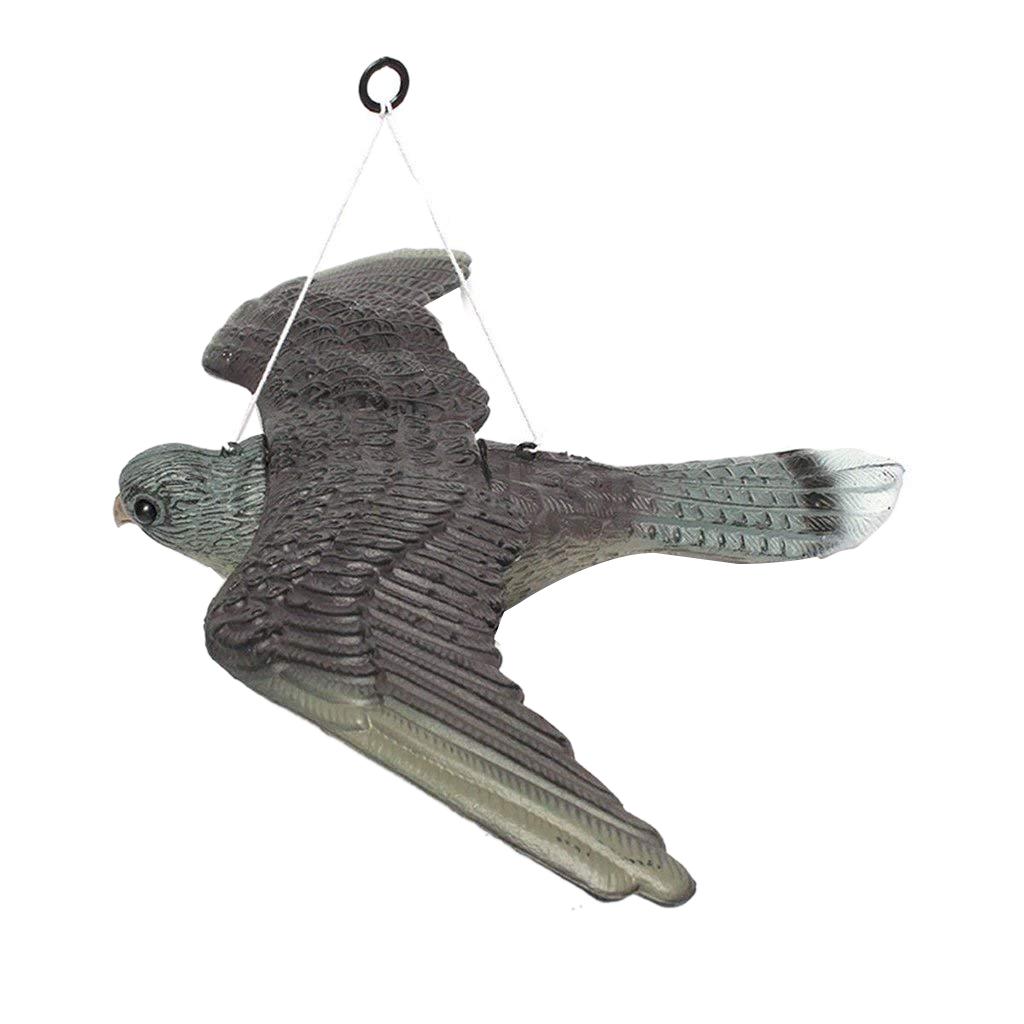 Buy Flying Hawk Decoy Bird Deterrent Lifelike and Realistic with ...