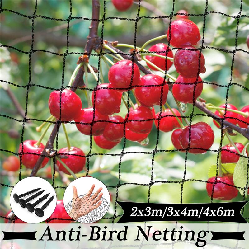 Buy Anti-Bird Poultry Net Garden Pond Plants Veg Fruit Crops Protection ...
