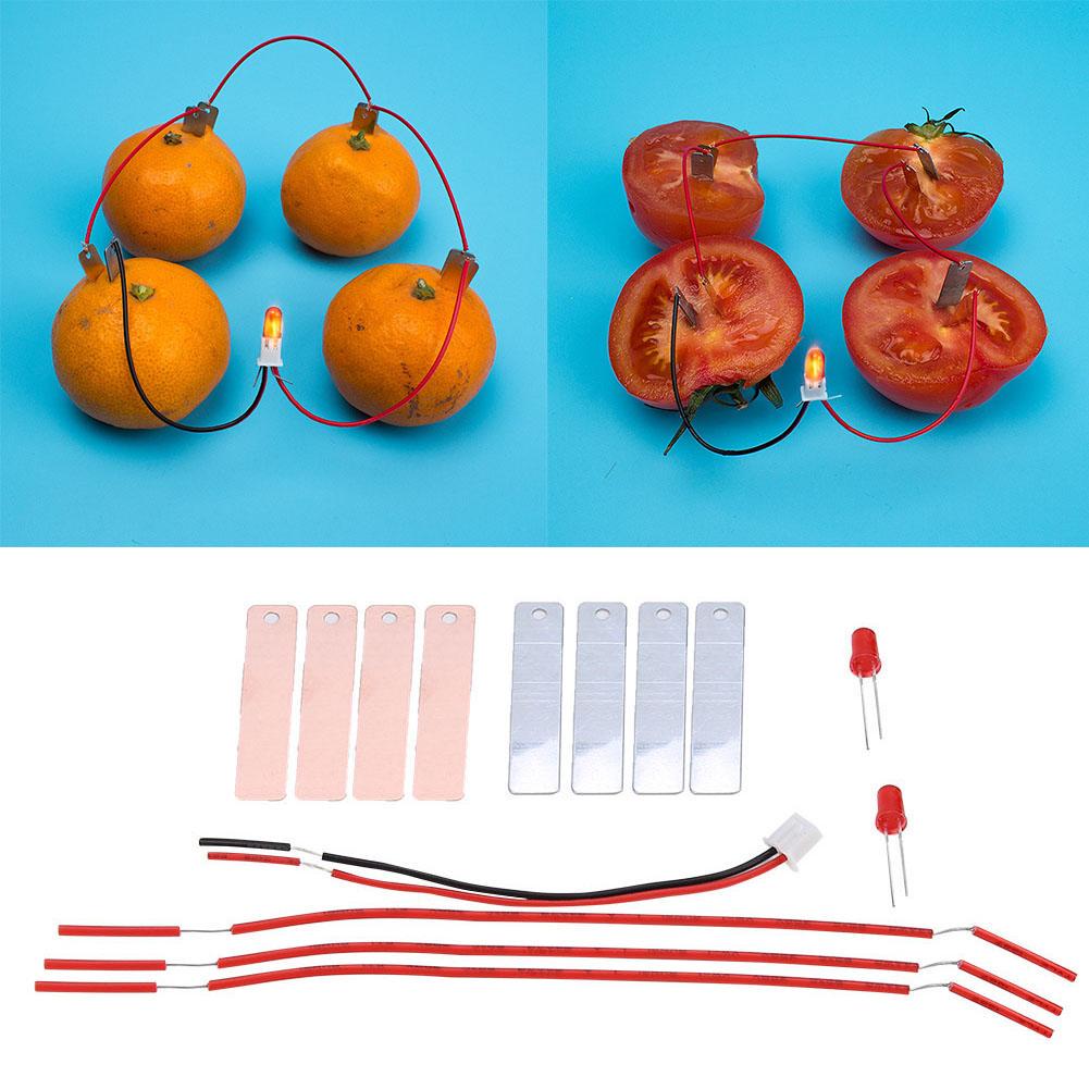 Diy Homemade Fruit Battery Power Educational Electricity-Generating ...