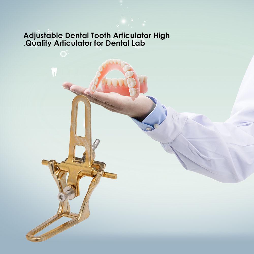Adjustable Dental Tooth Articulator High Quality Articulator for Dental ...
