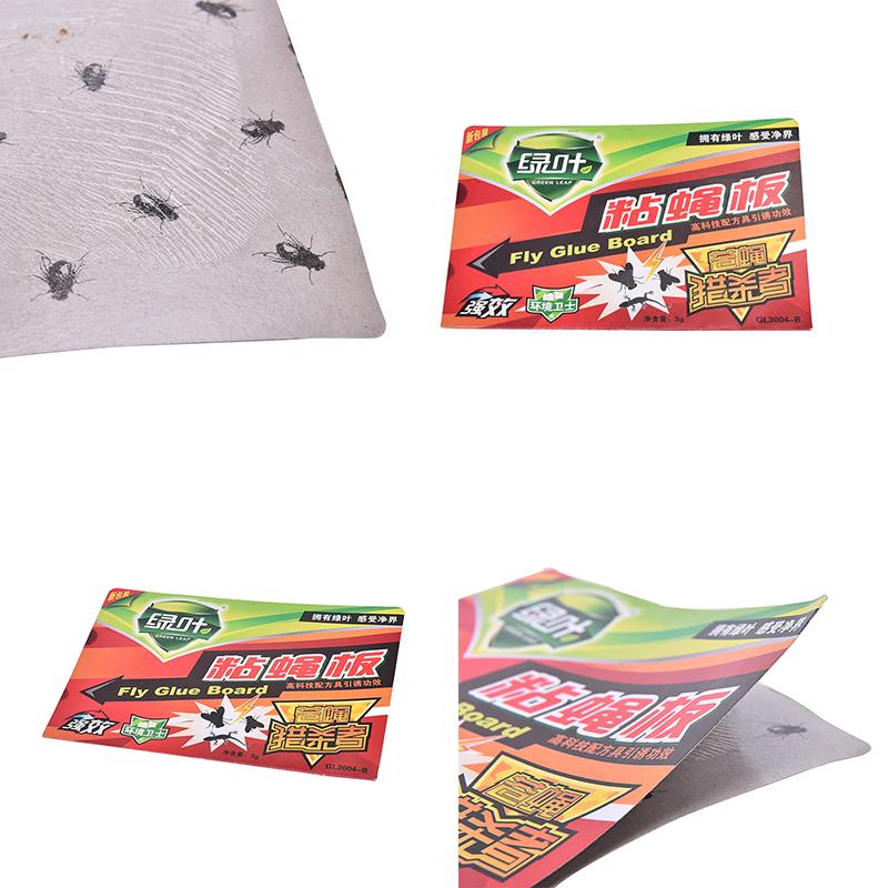 Buy 1/3PCS Sticky Glue Pest Insect White Fly Thrip Fruitfly Gnat ...