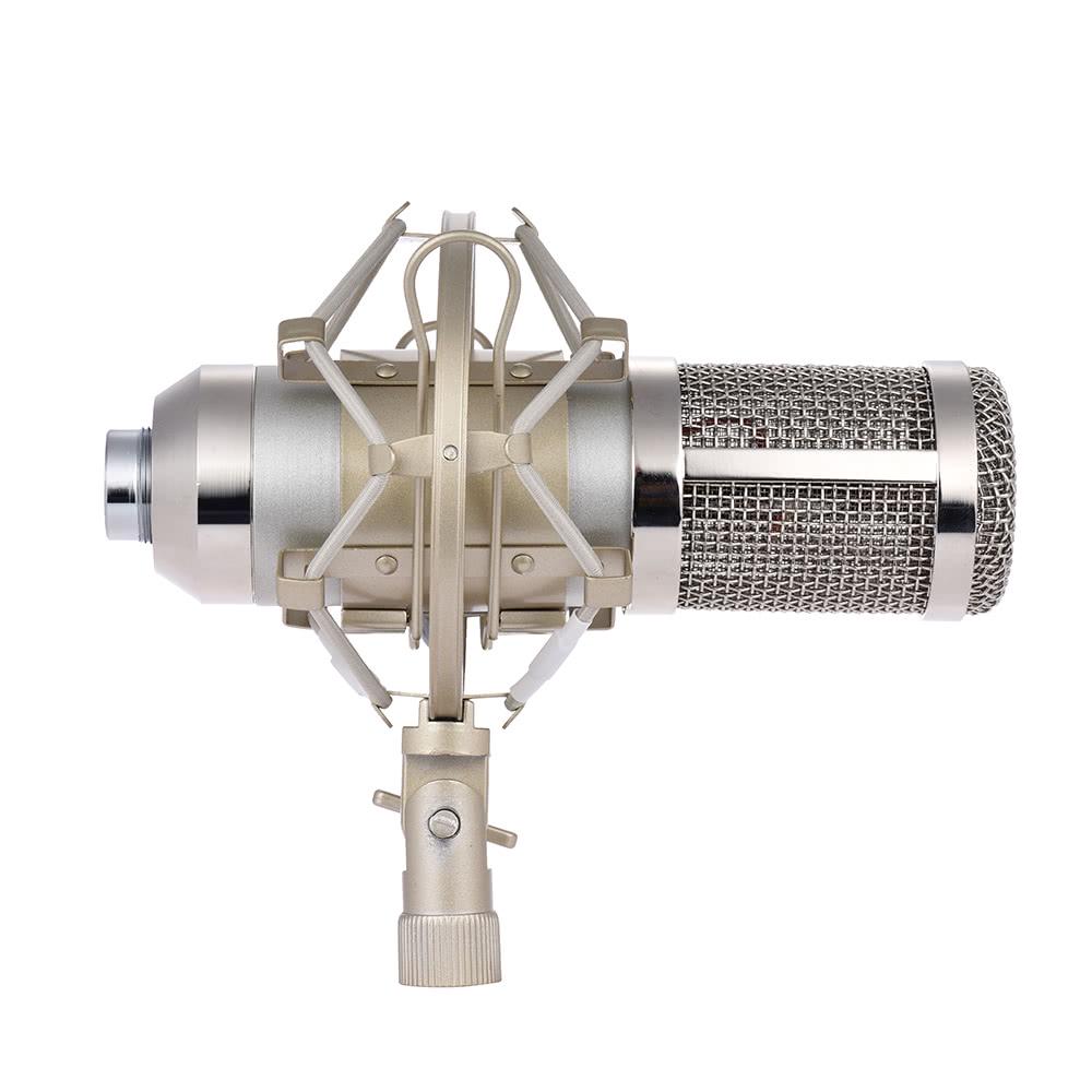 Buy Professional Studio Broadcasting Recording Condenser Microphone Mic ...